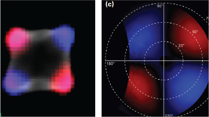 Cathodoluminescence | Gatan, Inc.